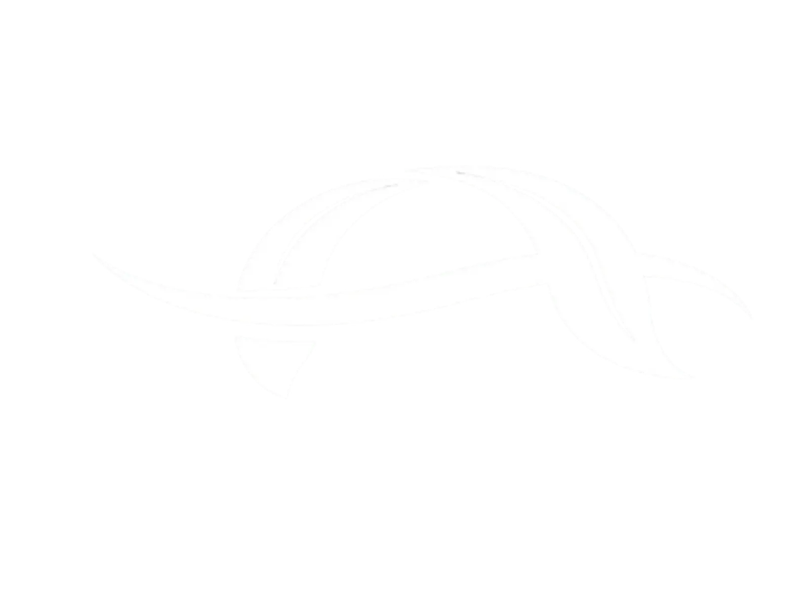 Council | Township of Selwyn